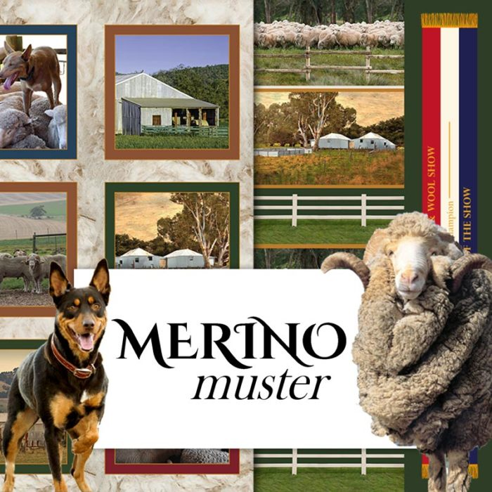 Kennard & Kennard - Merino Muster – Quiltex